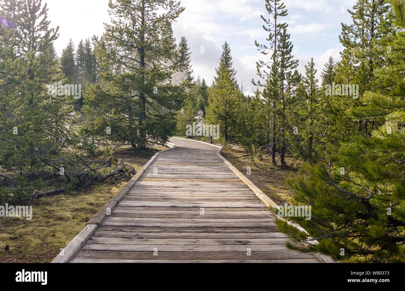 Wooden bridge over geyser in the Yellowstone national park Stock Photo ...