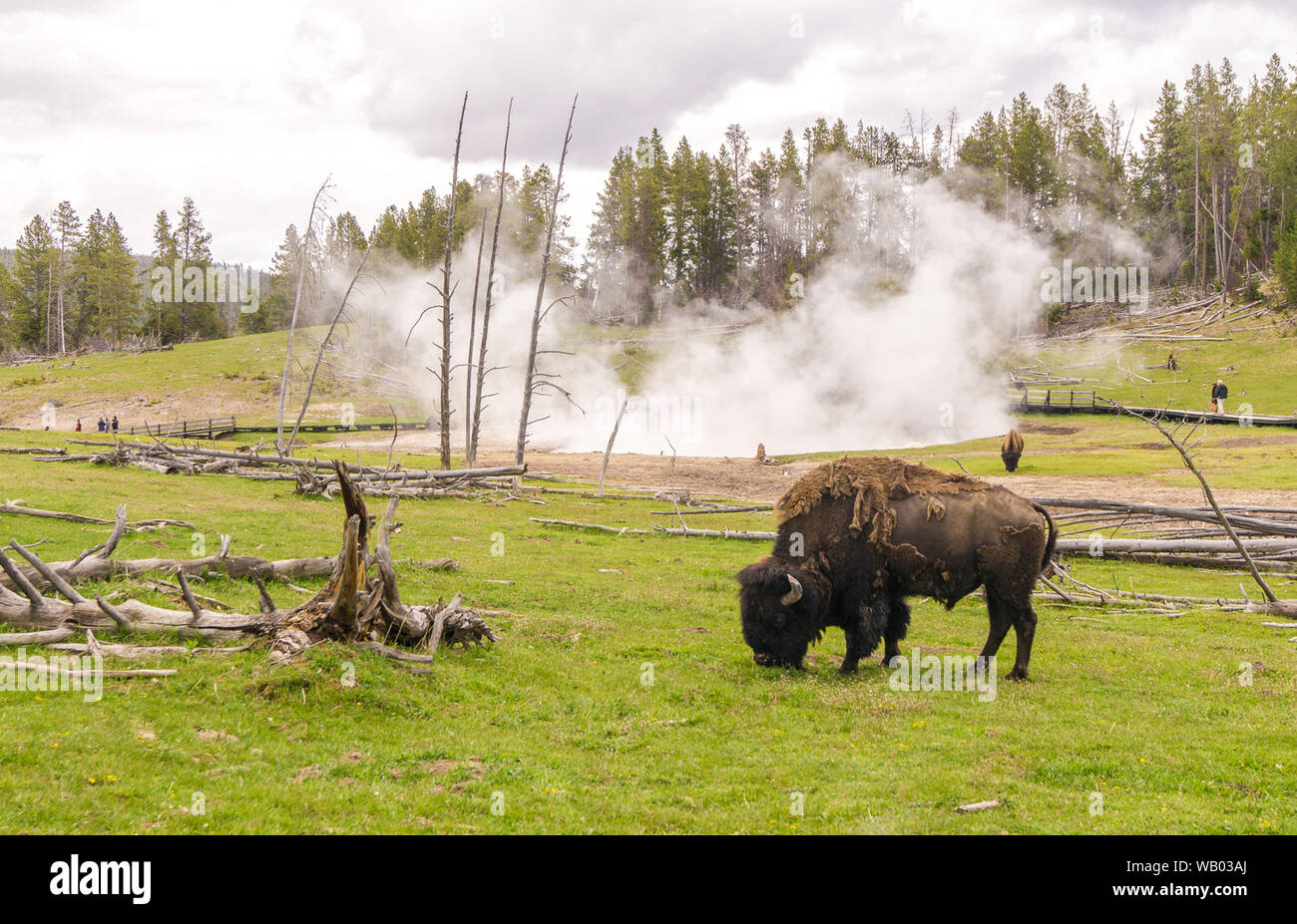 Buffalo rising river park hi-res stock photography and images - Alamy