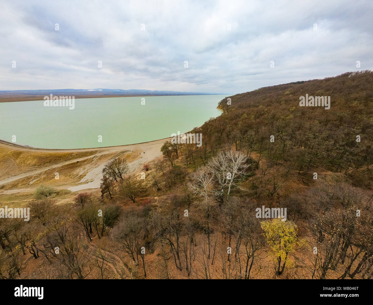 Siret River and the forest in Romania on a Brown autumn day, Bird's Eye ...