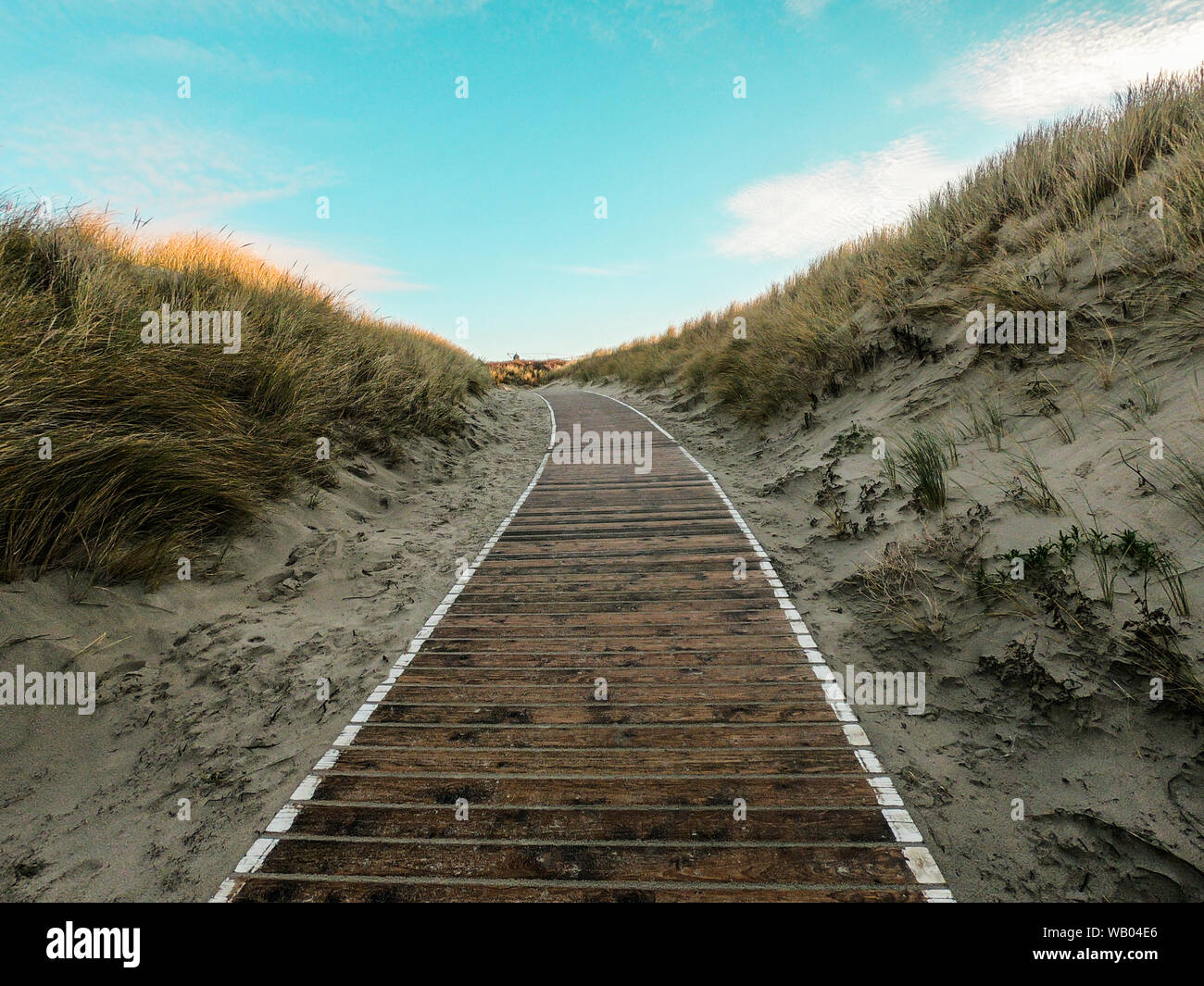 Narrow path on the beach with a bright blue sky in the winter Stock ...