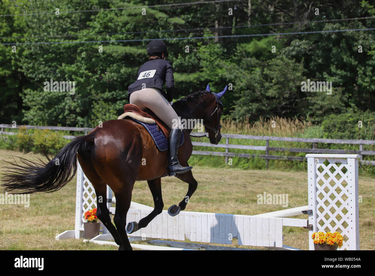 Girl Riding Horse in Horse Show Competition Stock Photo - Alamy