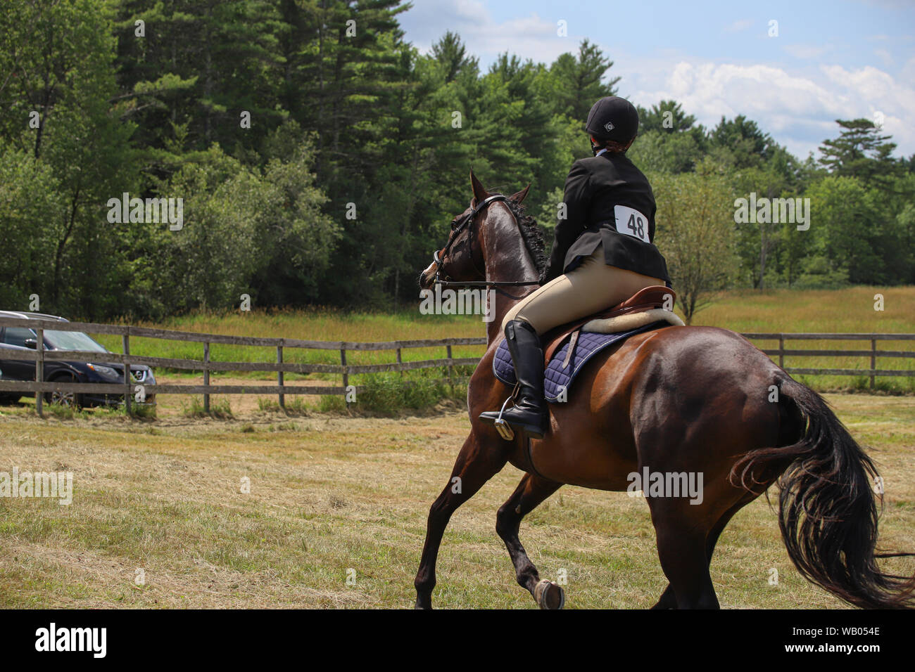 Girl Riding Horse in Horse Show Competition Stock Photo - Alamy