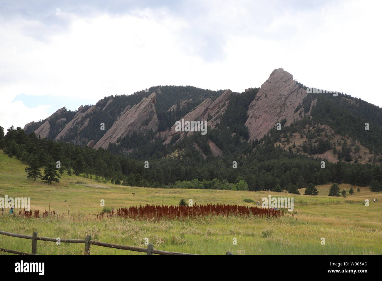 Flat irons hi-res stock photography and images - Alamy