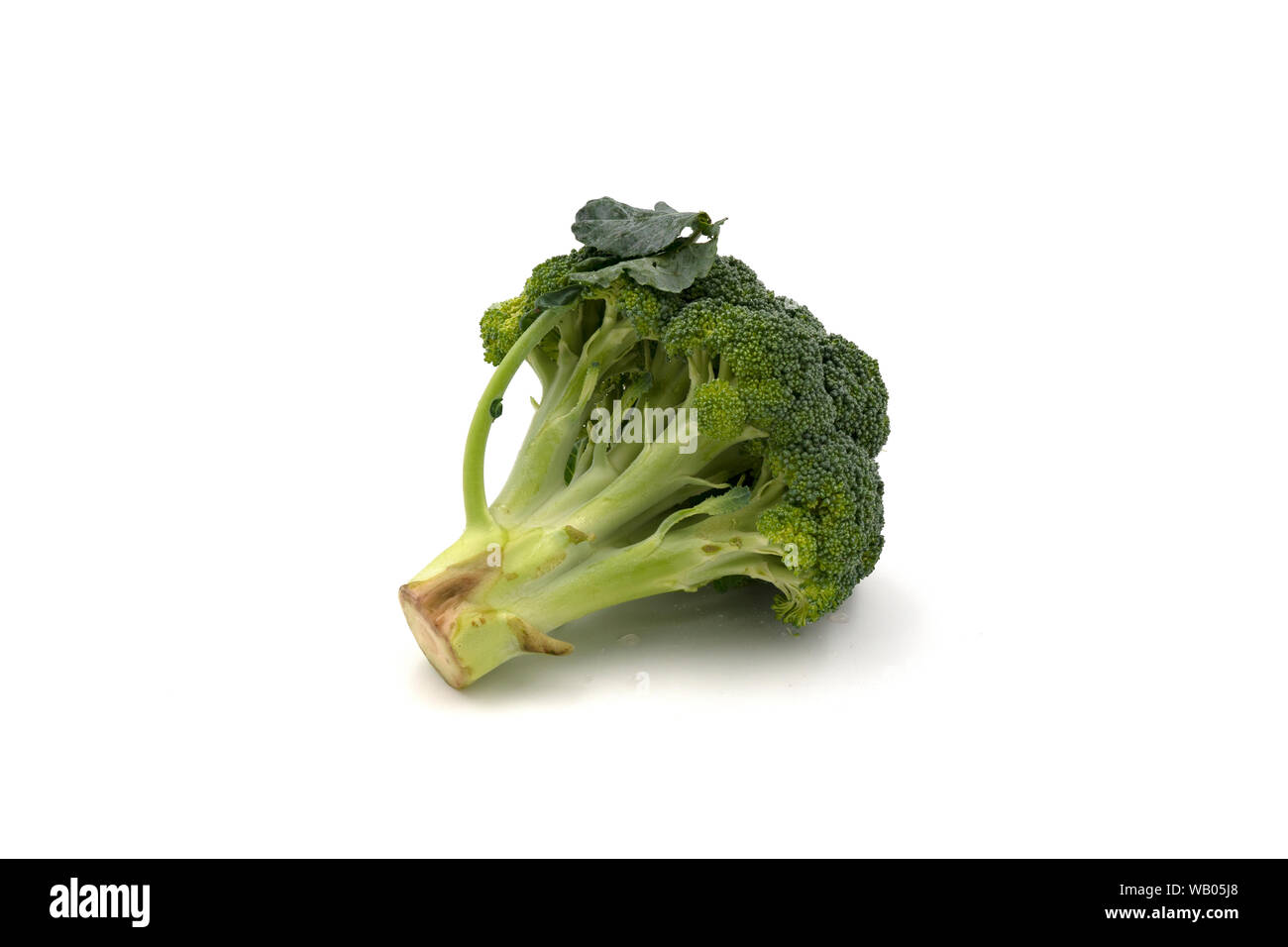 Fresh Broccoli stack isolated on white background. Green and fresh ...