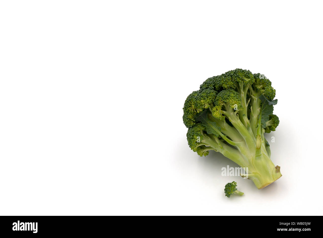 Fresh Broccoli stack isolated on white background. Green and fresh ...