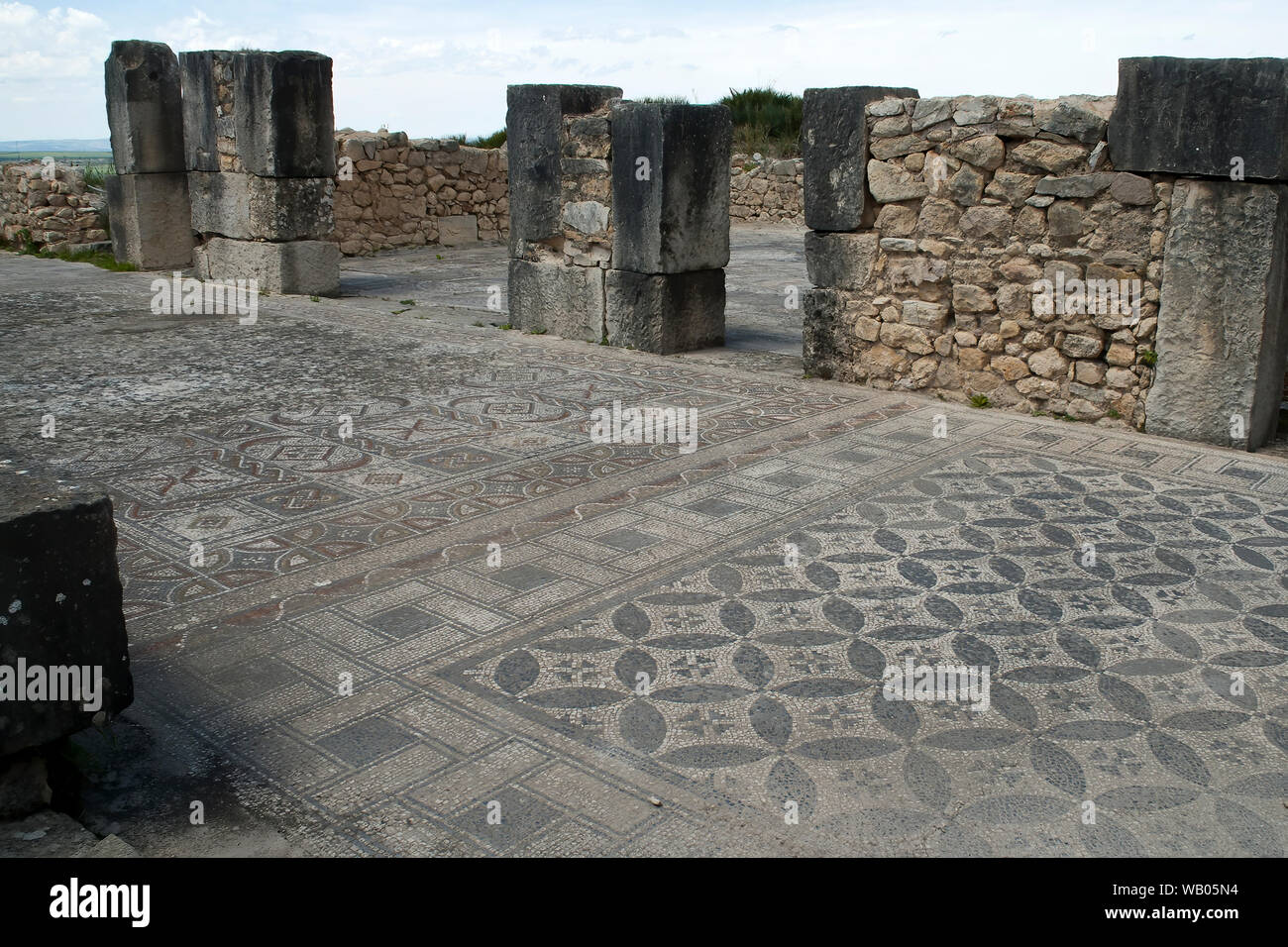 Volubilis Morocco, patterned tessellated pavement on floor of roman ...
