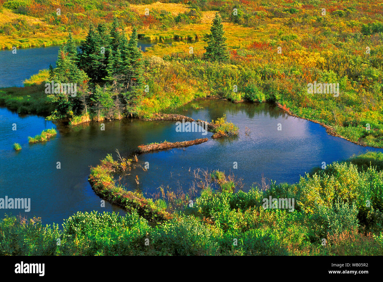 Aerial view wetland pond hi-res stock photography and images - Alamy