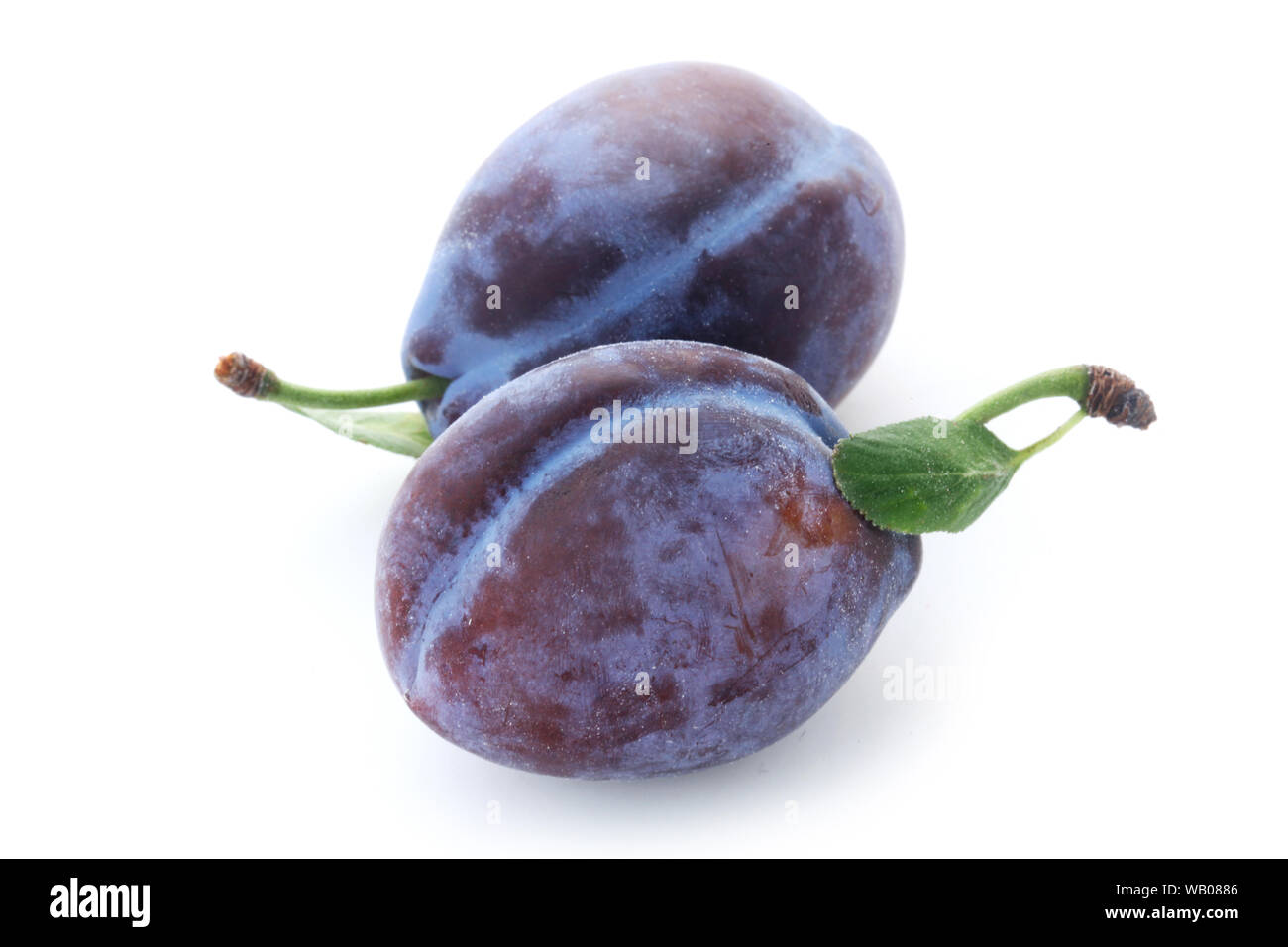 Two plums hi-res stock photography and images - Alamy