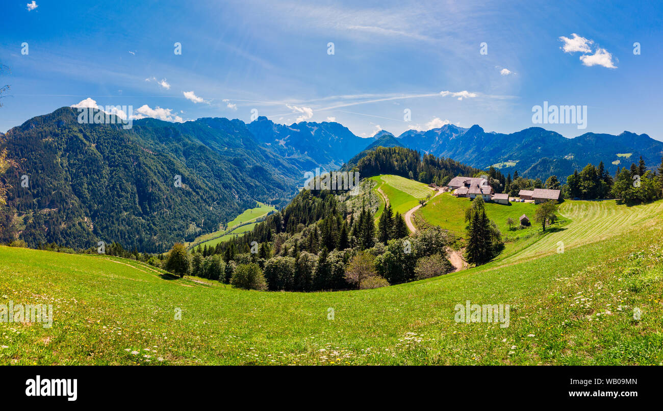 Mountain landscape, Alps in Slovenia with farm and blooming meadows ...