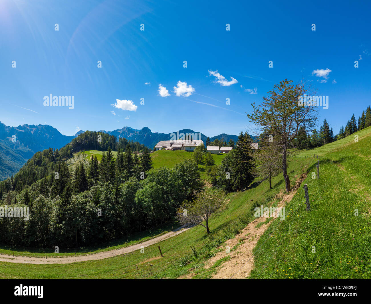 Mountain landscape, Alps in Slovenia with farm and blooming meadows ...