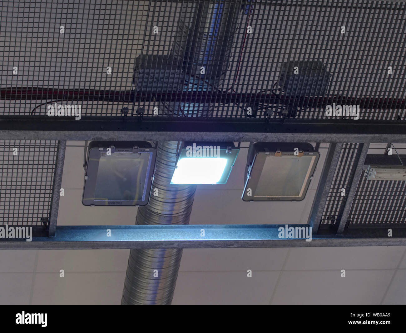 Light ceiling of business interior office building and light neon ...