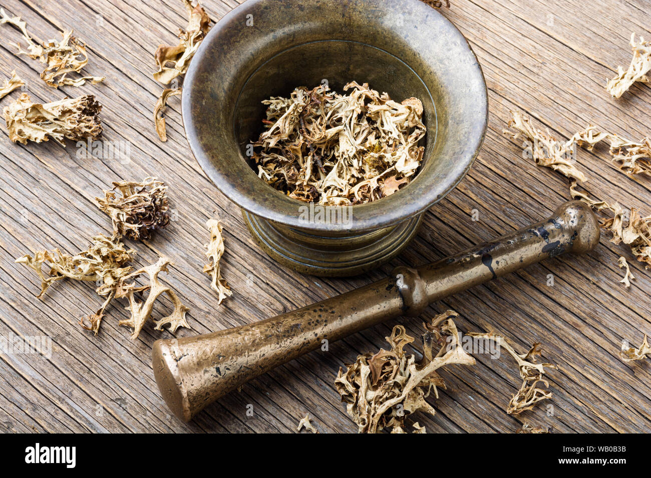 Icelandic moss.Dried Icelandic moss in antique mortar.Herbal medicine ...