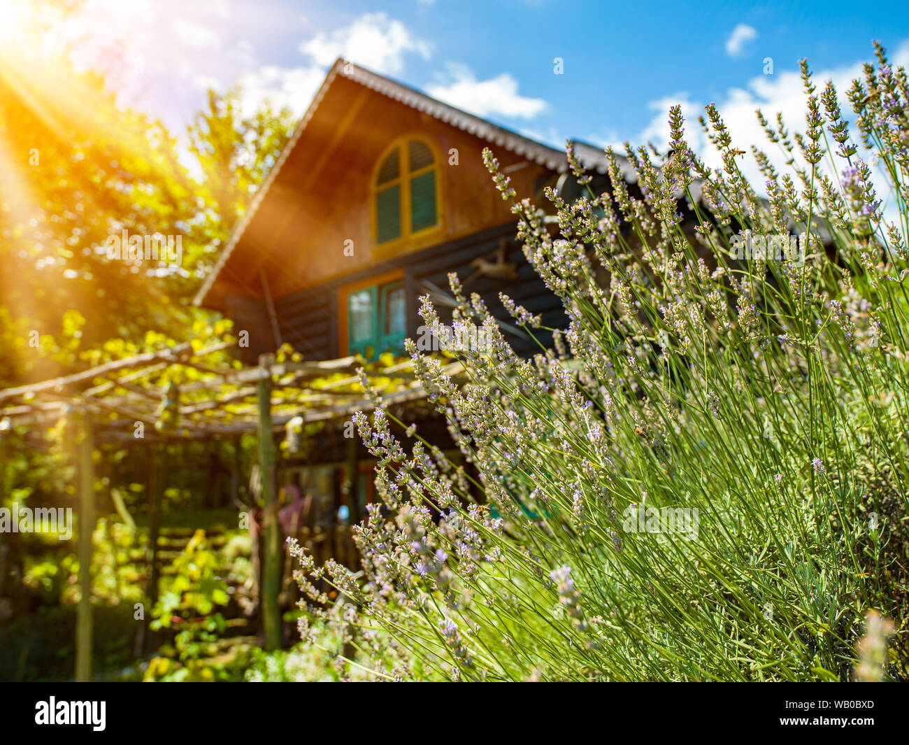 Cotage view hi-res stock photography and images - Alamy