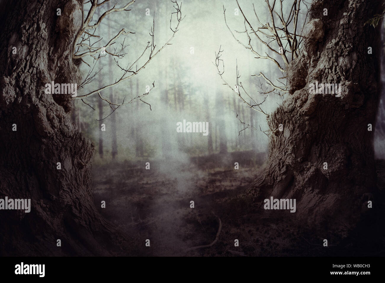 Halloween night background with spooky forest trees in fog Stock Photo ...