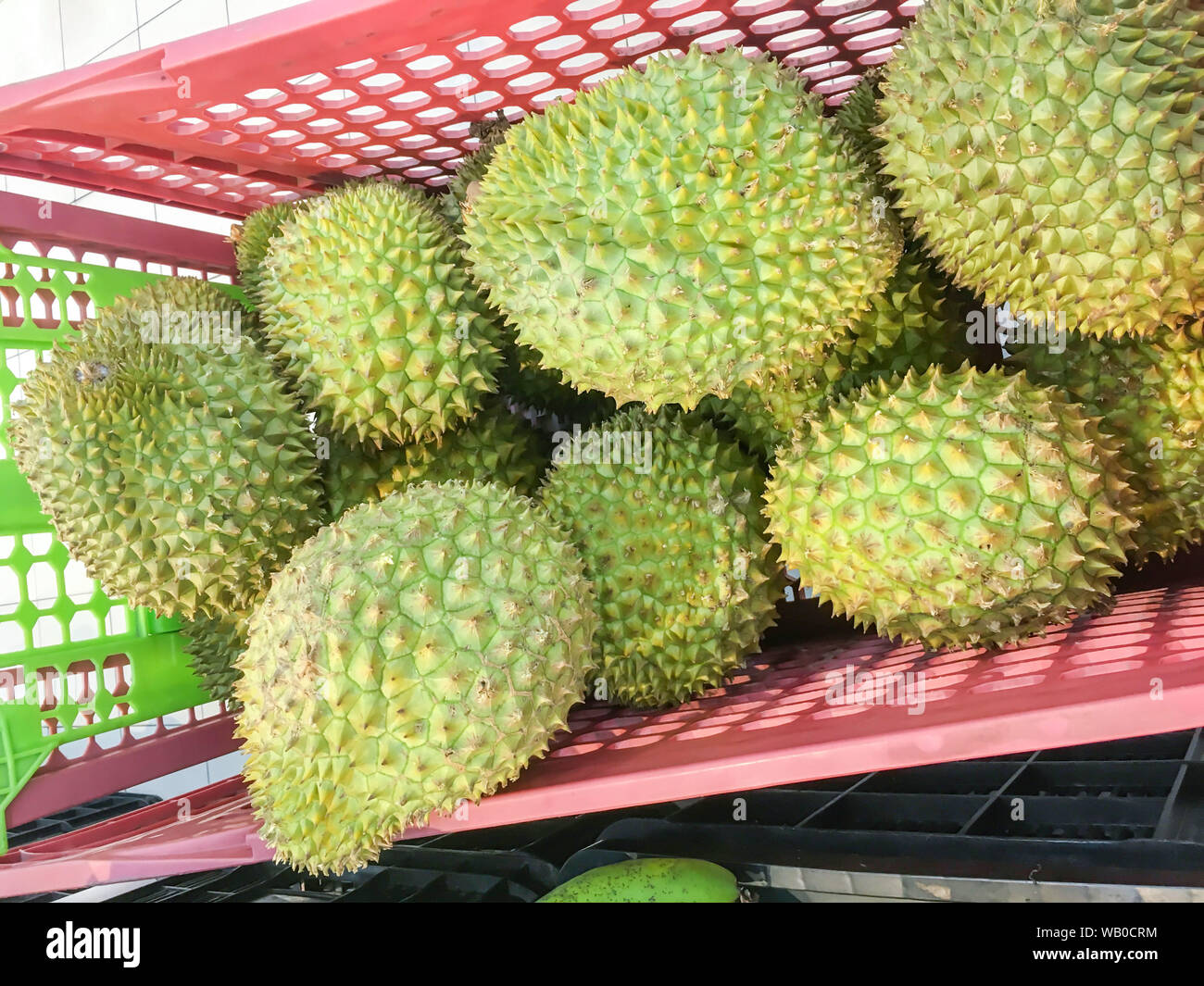 Durian texture hi-res stock photography and images - Alamy