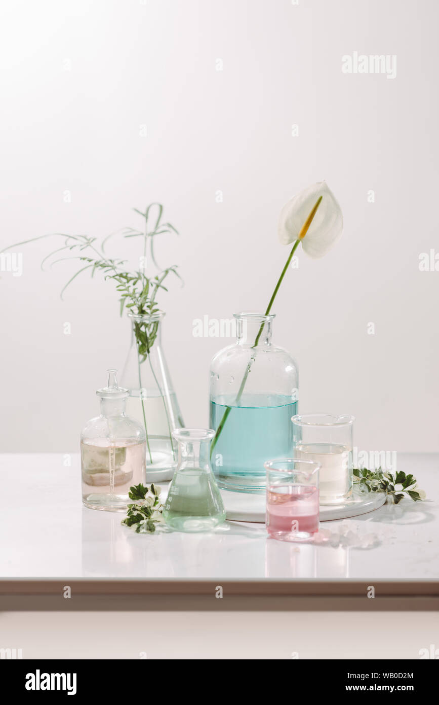 Laboratory experiment and research with leaf,oil and ingredient extract ...
