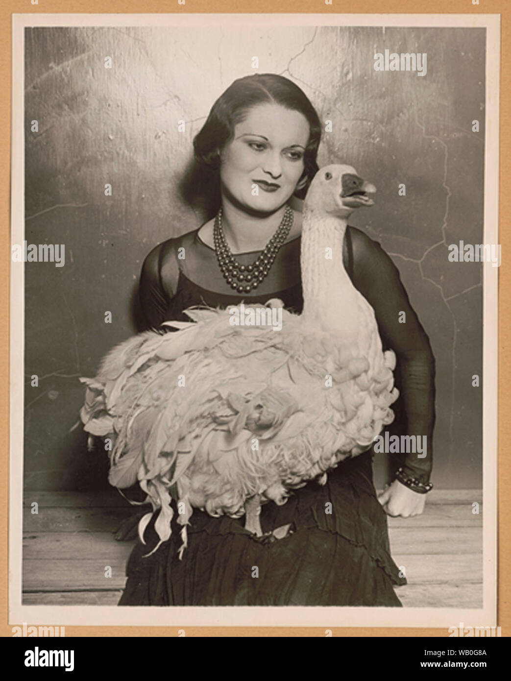 Goosey hi-res stock photography and images - Alamy