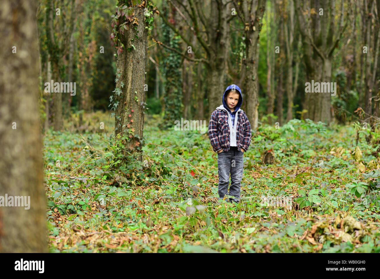 Feel the nature. Little boy play in forest. Little child have forest ...