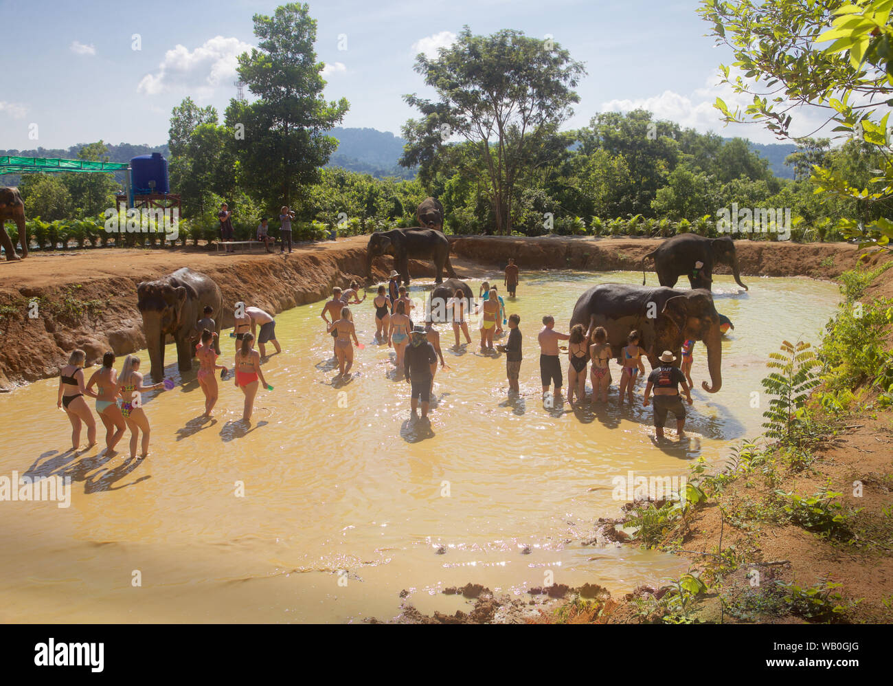 Jungle men hi-res stock photography and images - Alamy