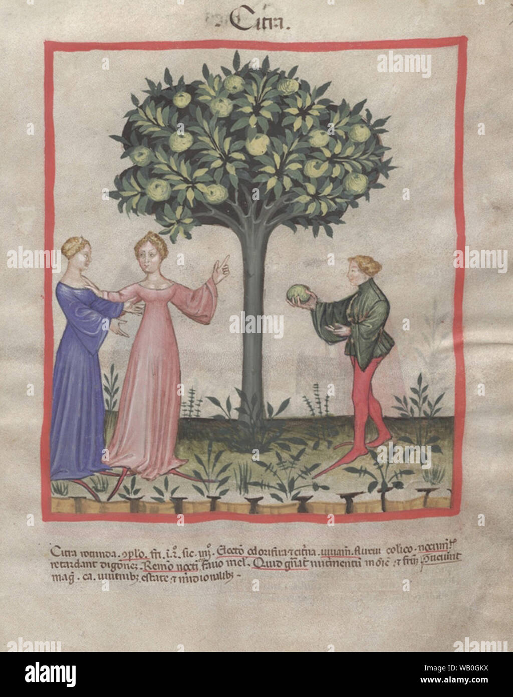 Art from a vintage historical germanic medieval tome Stock Photo - Alamy