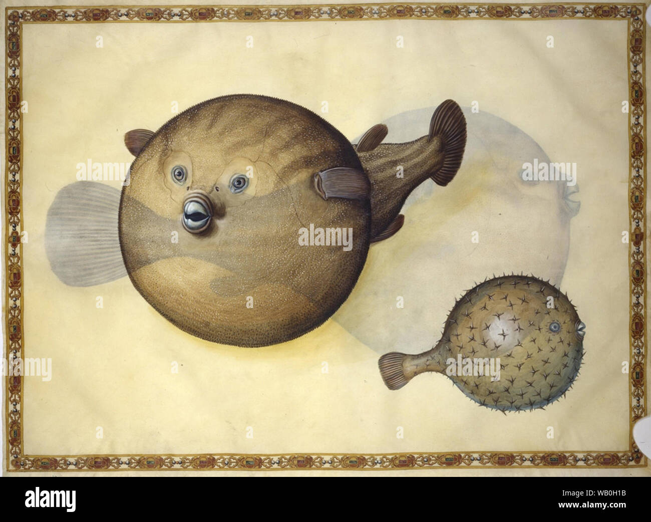 vintage fish artwork Stock Photo - Alamy