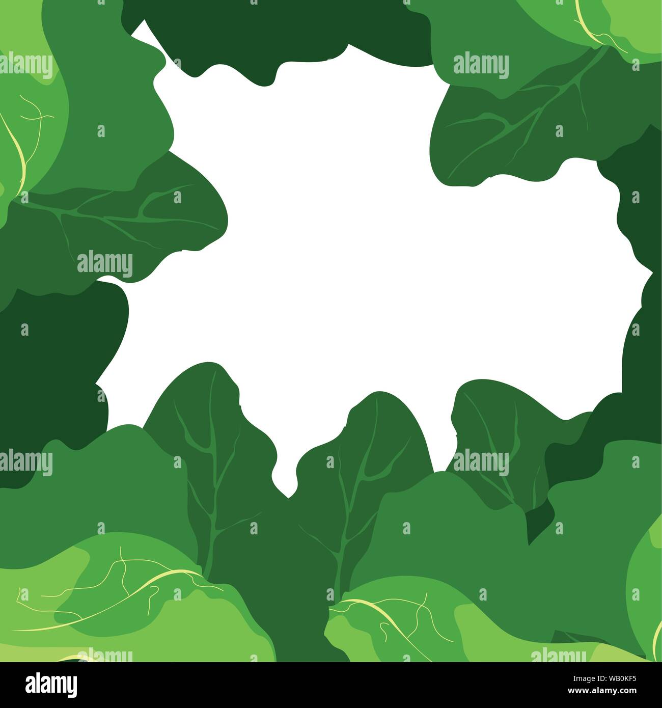 lettuce fresh vegetable white background vector illustration Stock ...