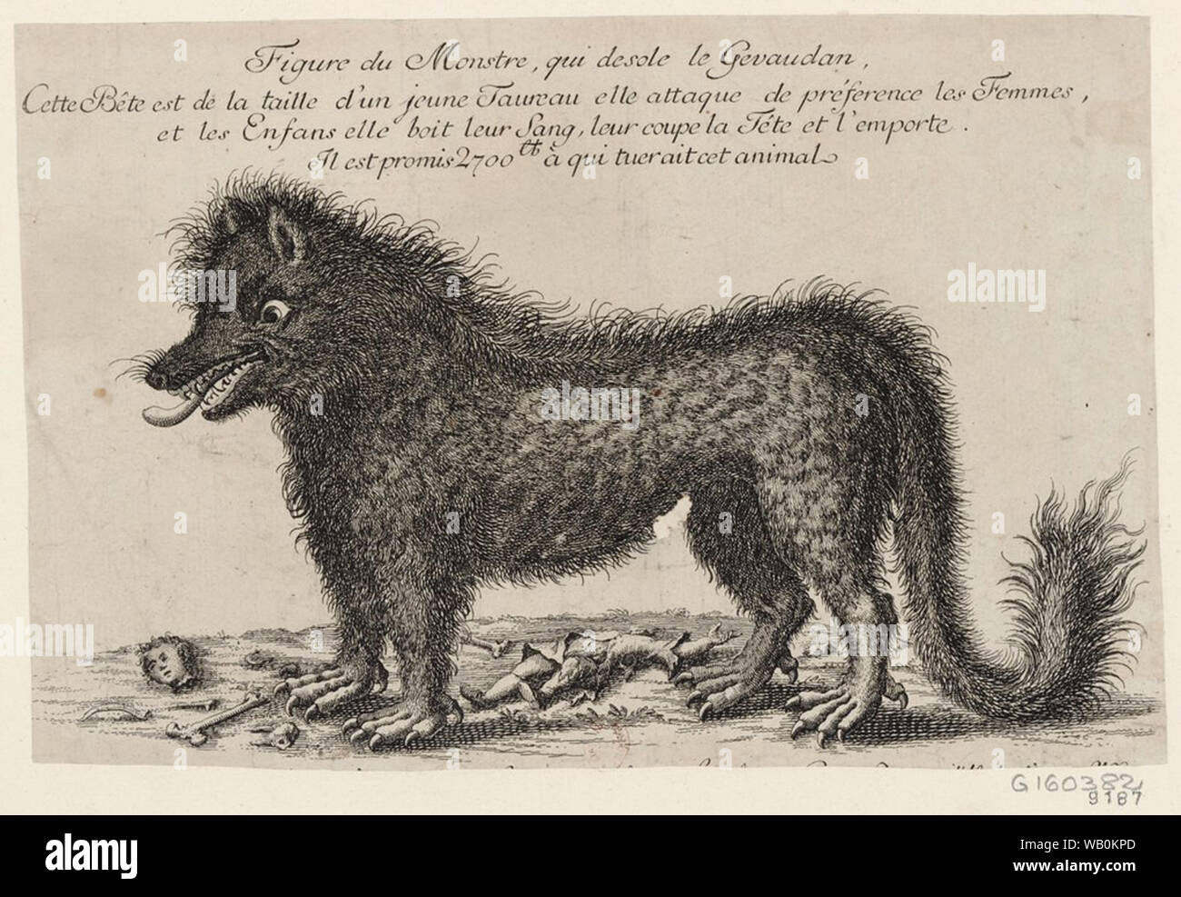 The beast of gevaudan hi-res stock photography and images - Alamy