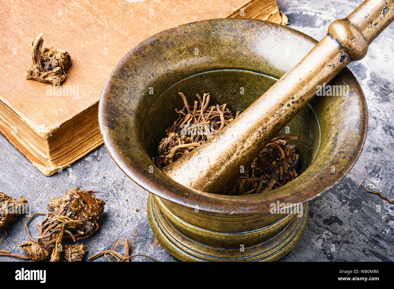 Dried Valerian roots in old bronze mortar.Valerian root for medical use ...