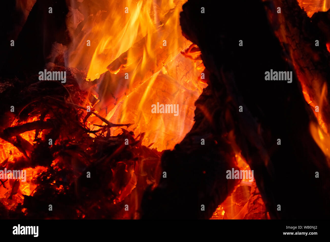 close-up burning bonfire on a summer night Stock Photo - Alamy