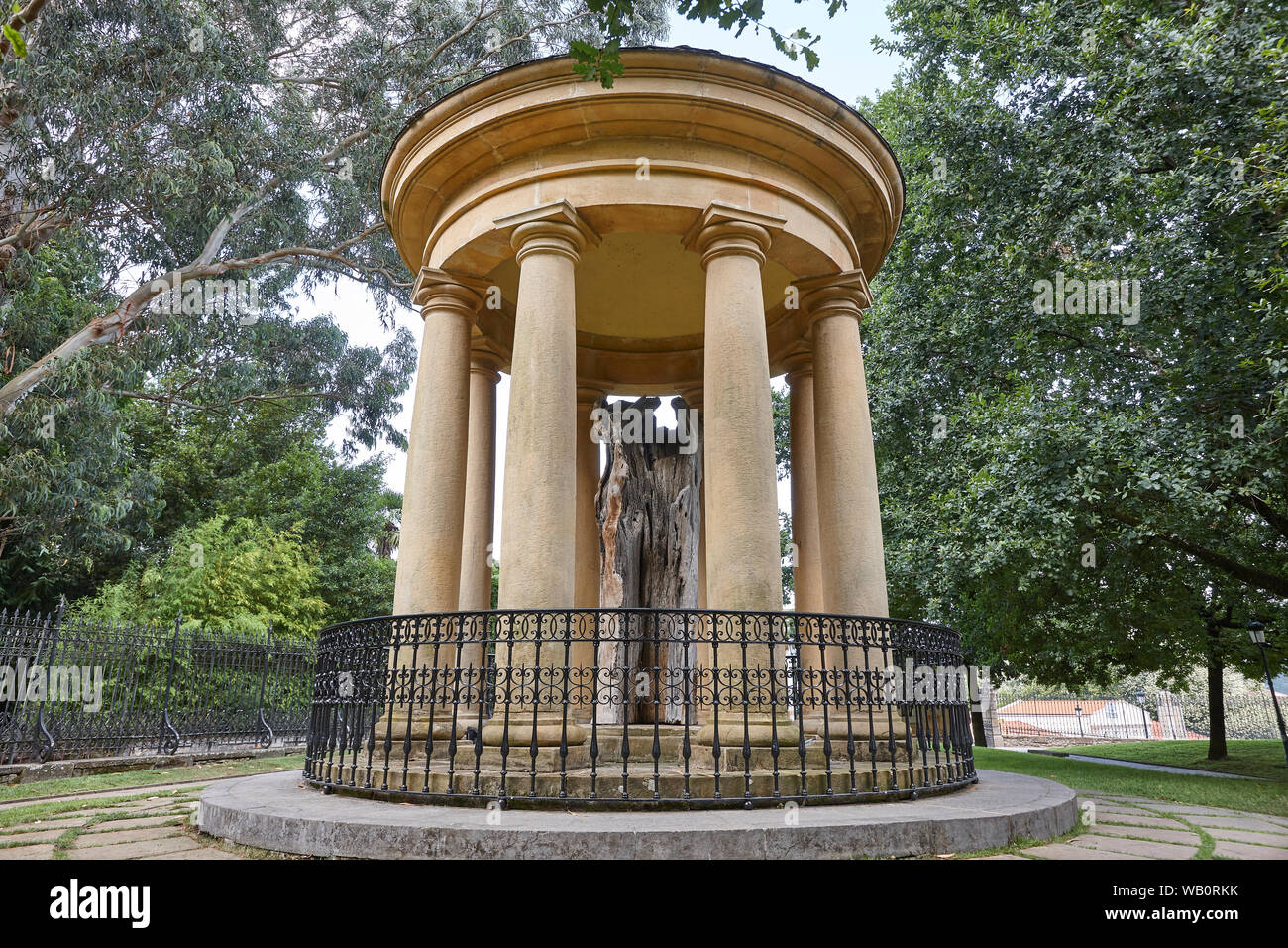 Guernica tree hi-res stock photography and images - Alamy