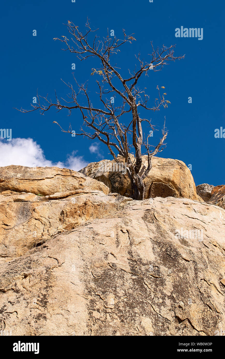 Singida hi-res stock photography and images - Alamy