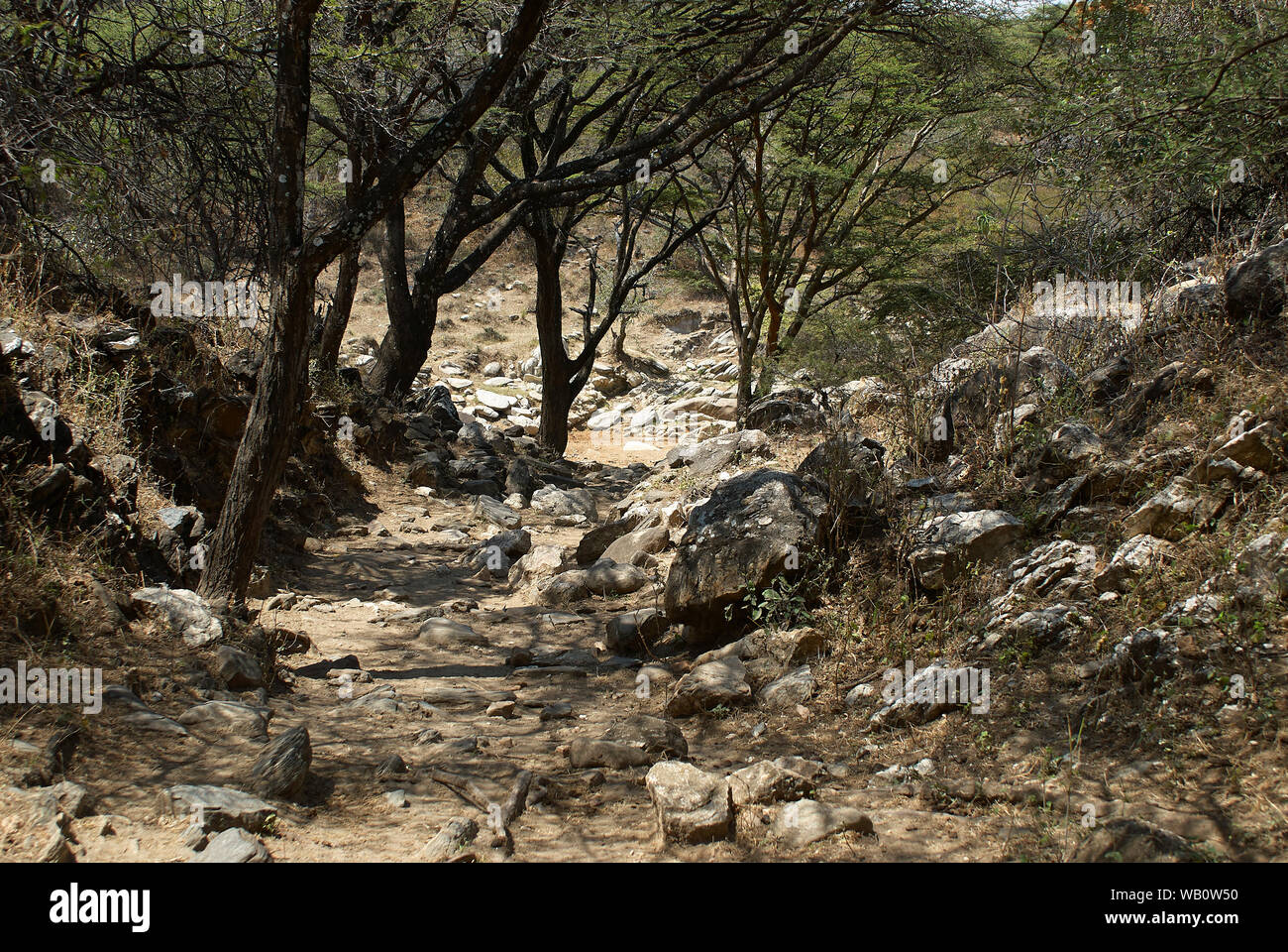 Harsh living conditions hi-res stock photography and images - Alamy