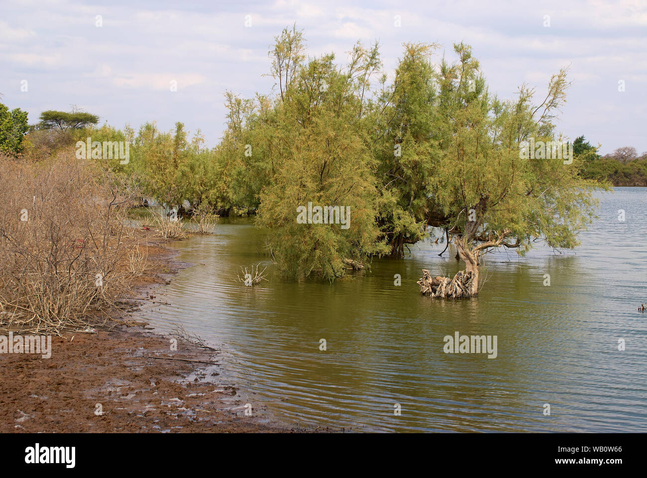 Lake hombolo hi-res stock photography and images - Alamy