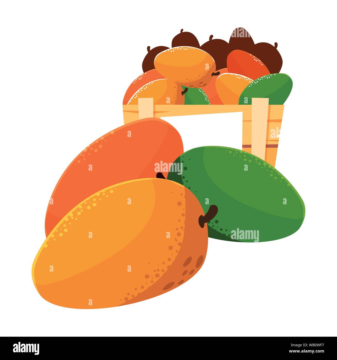 fresh fruits mangoes in wooden basket vector illustration Stock Vector ...