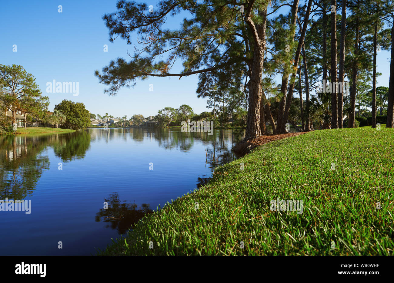 Small lake in Florida, USA Stock Photo - Alamy