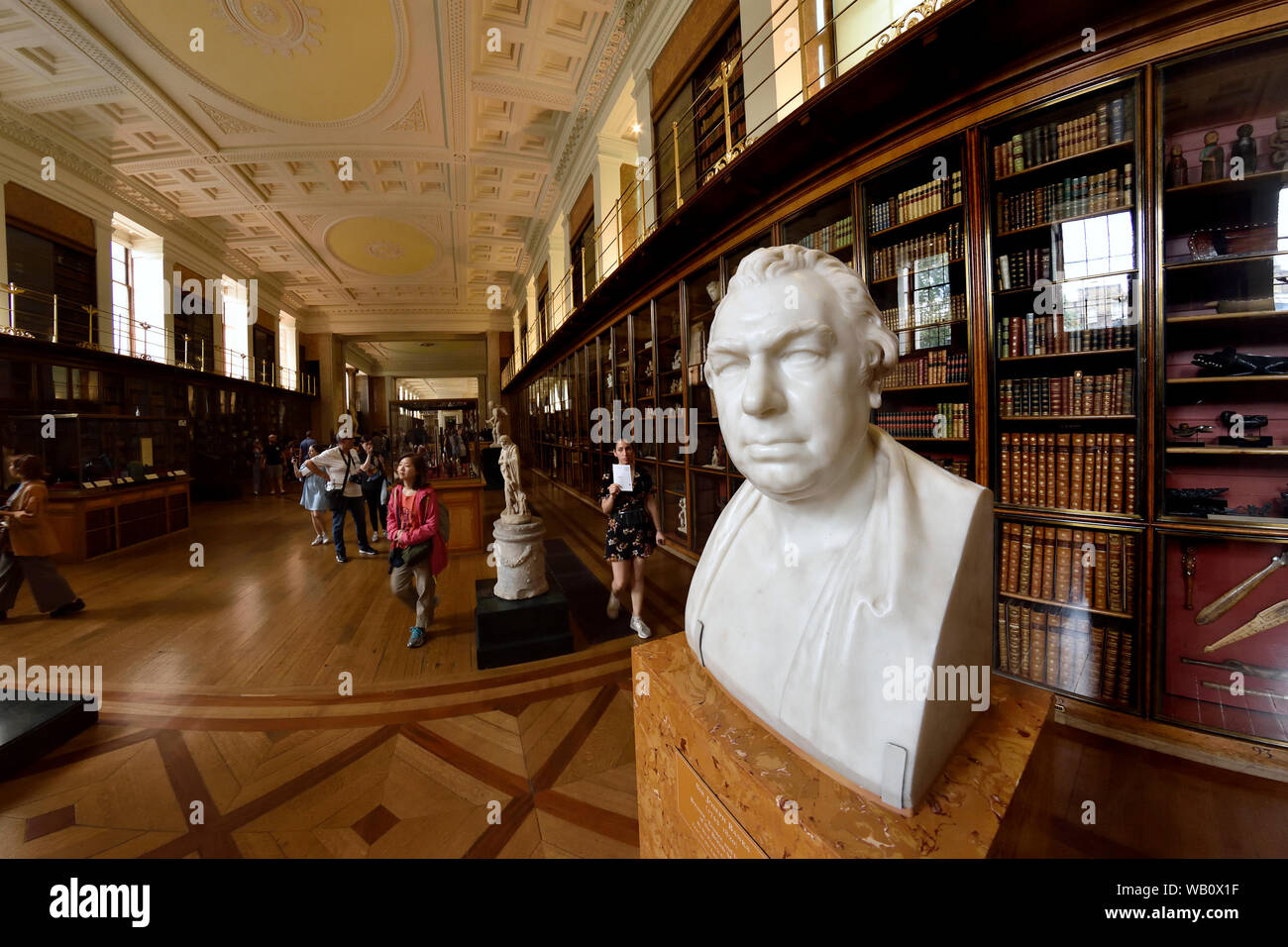 Marble bust of Sir Joseph Banks (1743-1820) Botanist, Trustee and ...