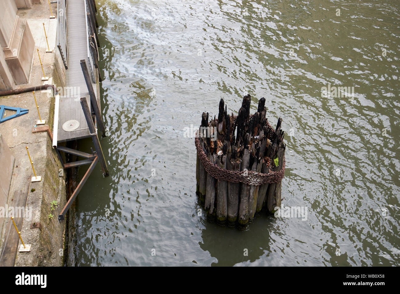 old decaying wooden pile cluster bound by rusty chains chicago river ...