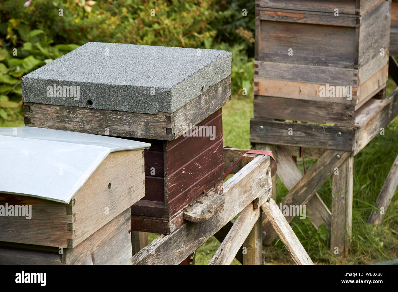 home made honey bee hives on a smallholding lake district, england, uk ...