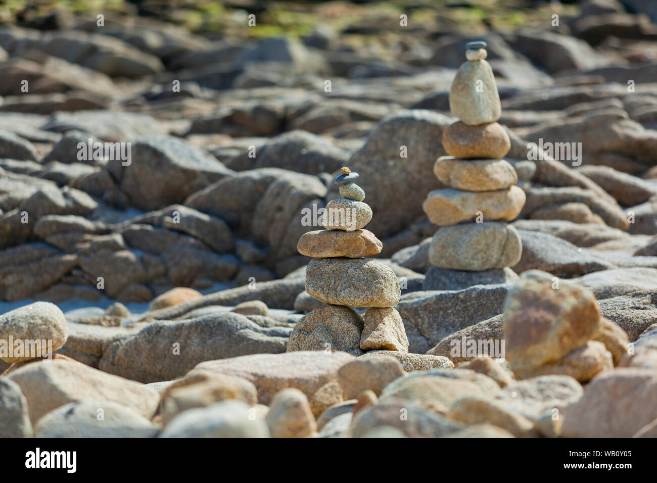 a pile of white pebbles stacked on a stony beach in a soft afternoon ...