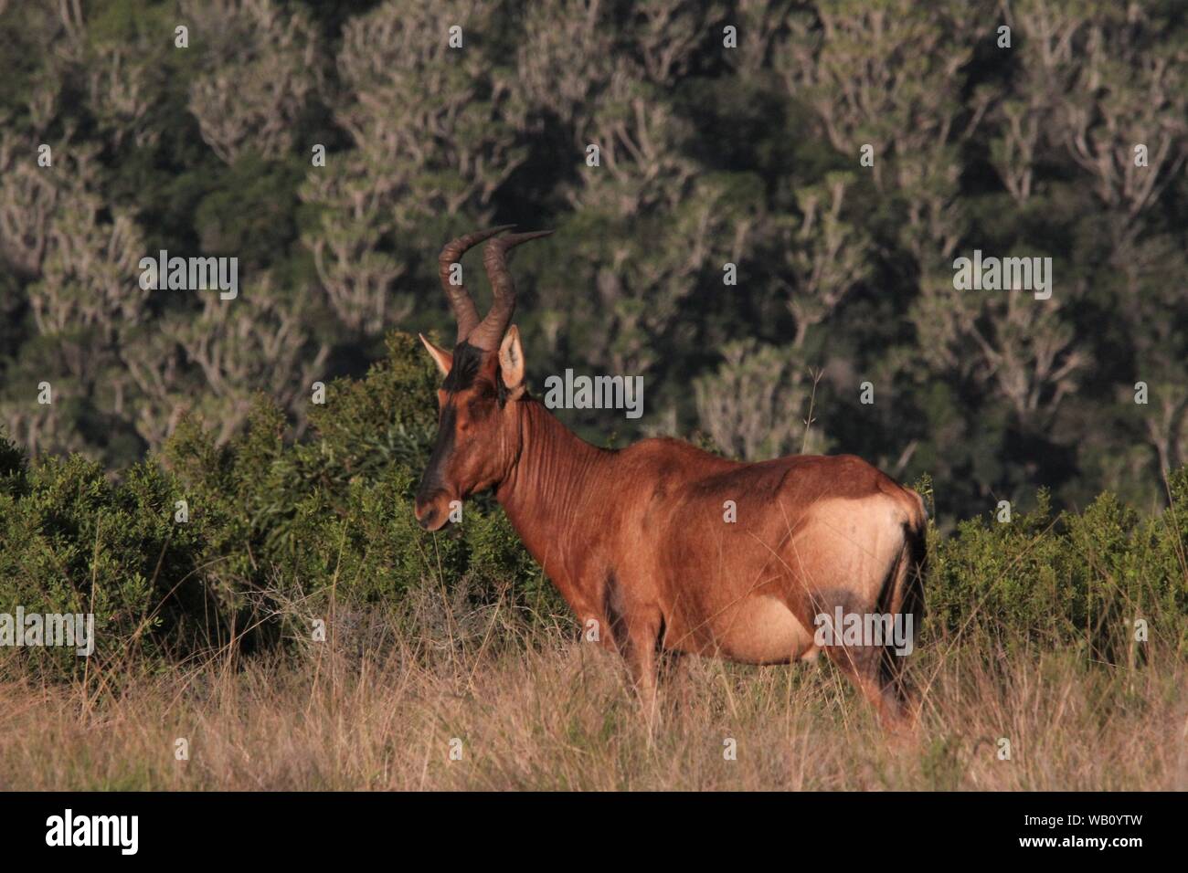 Boesmans River High Resolution Stock Photography and Images - Alamy