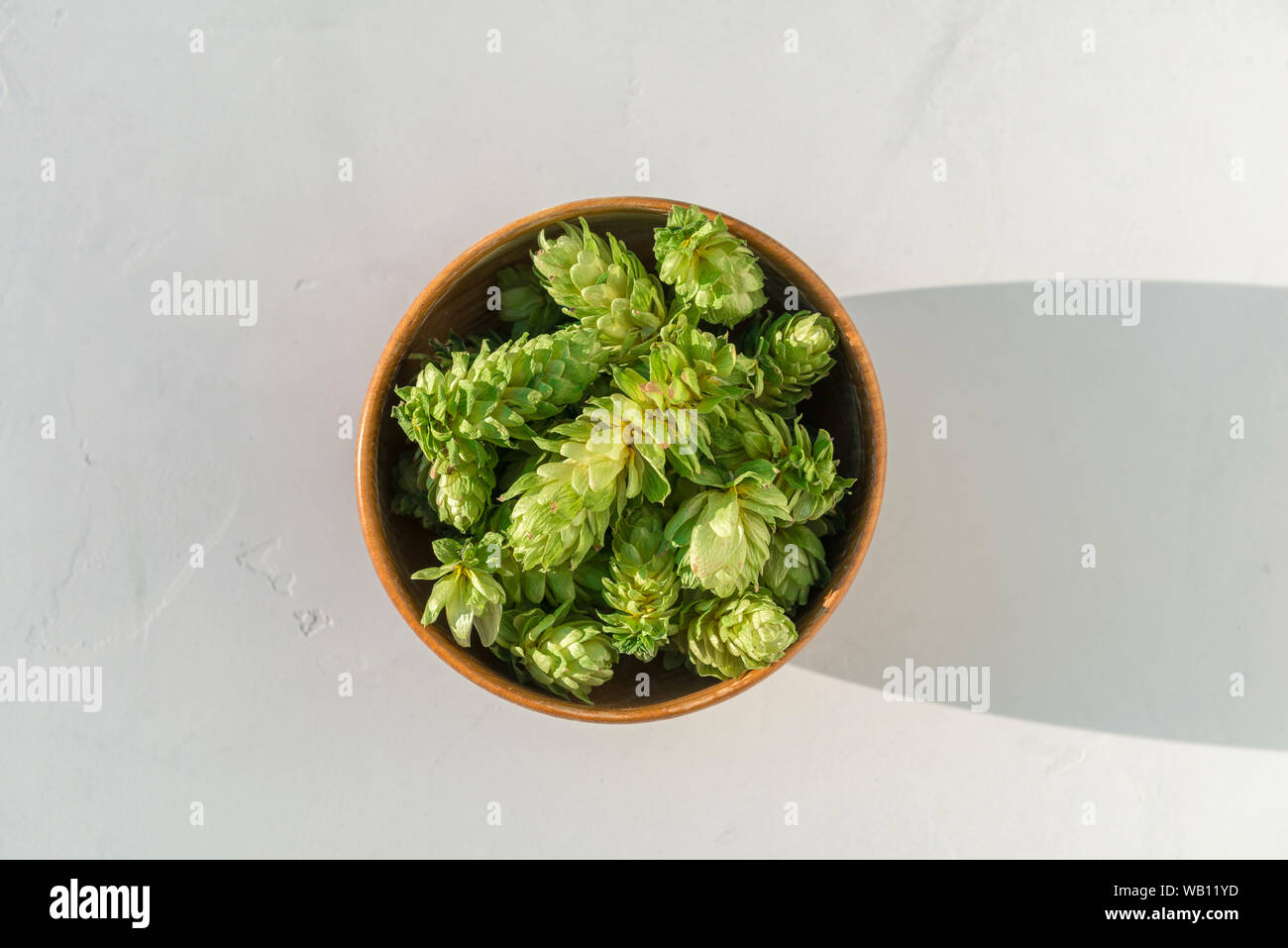 Hops in wooden bowl on grey concrete background. Close up of fresh seed ...