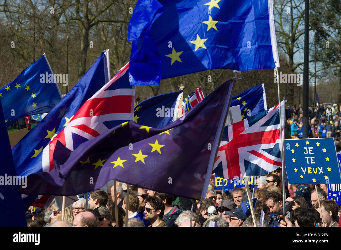Unite for Europe, Pro European Union march and rally, London, Britain ...