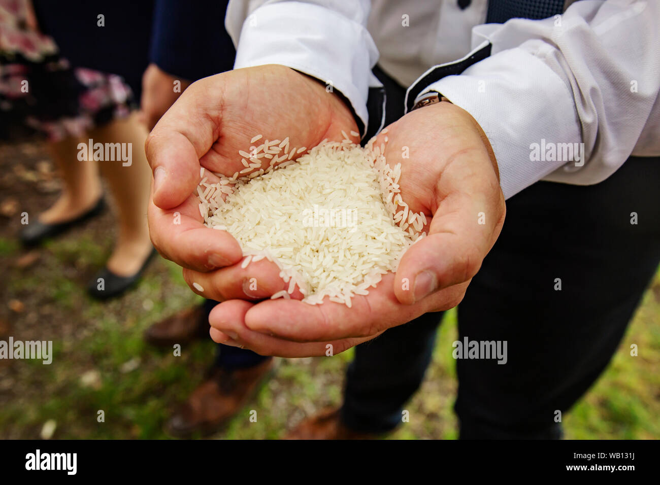 Throwing rice wedding hi-res stock photography and images - Alamy