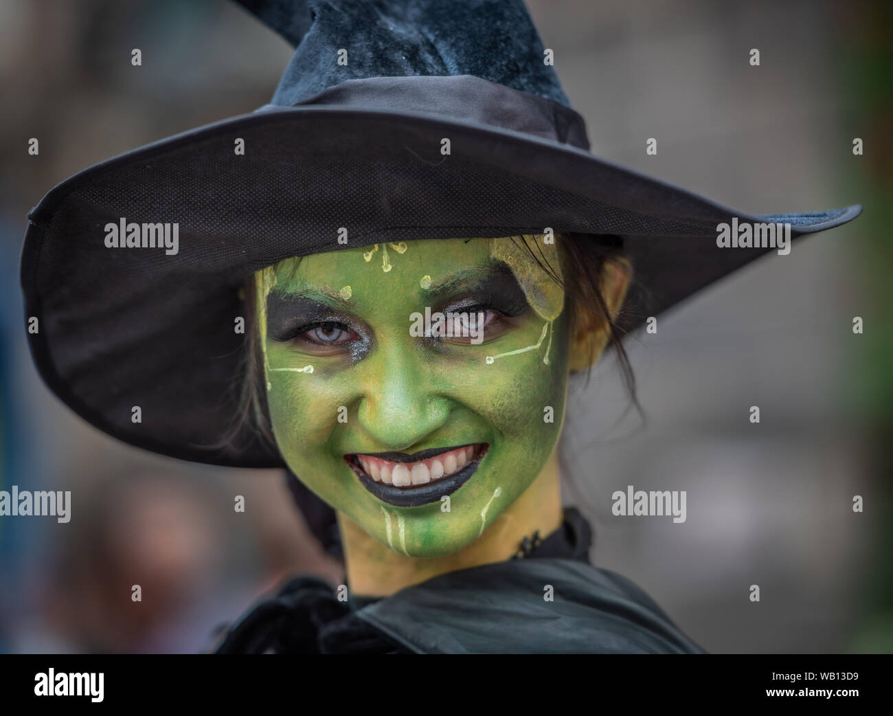 The Wizard Of Oz Wicked Witch Melting