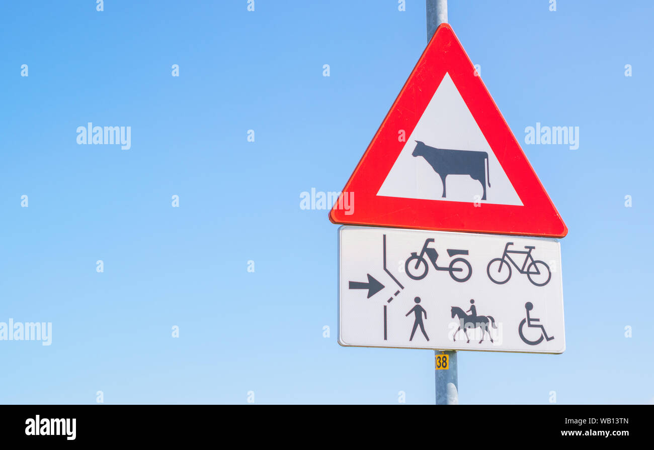 Dutch road traffic sign Indication of crossing cattle Stock Photo - Alamy
