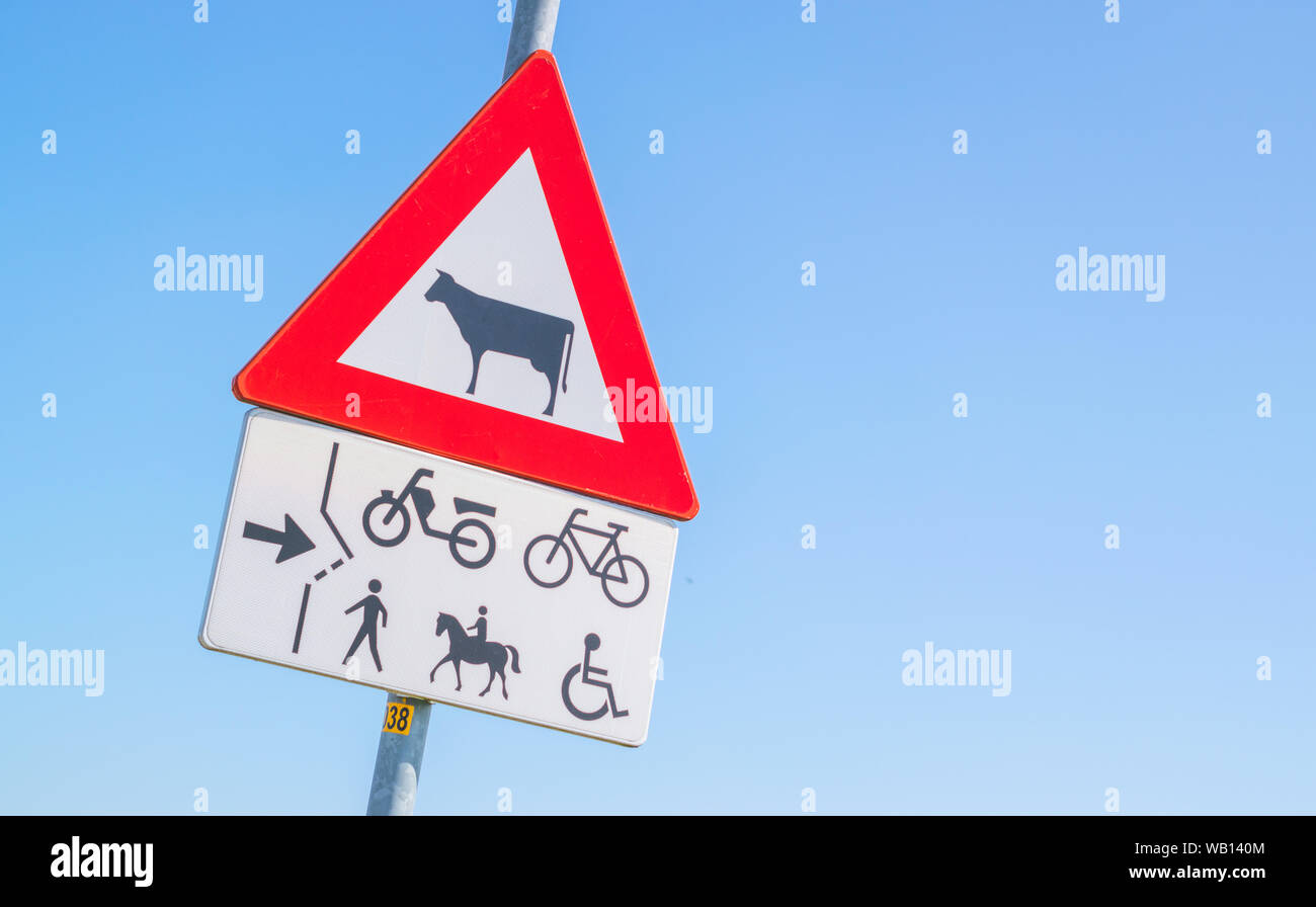 Dutch road traffic sign Indication of crossing cattle Stock Photo - Alamy