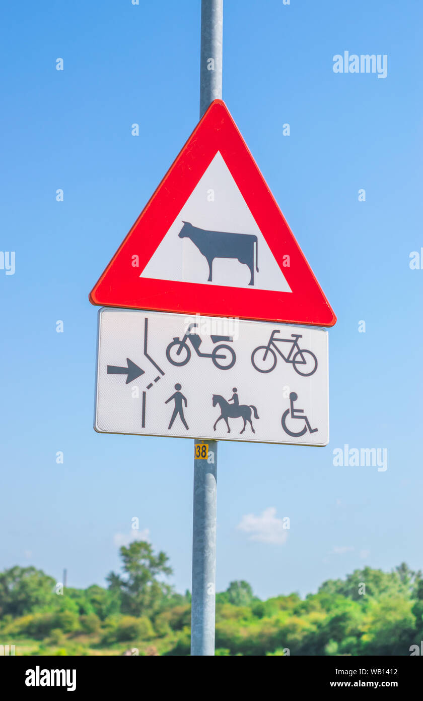 Dutch road traffic sign Indication of crossing cattle Stock Photo - Alamy