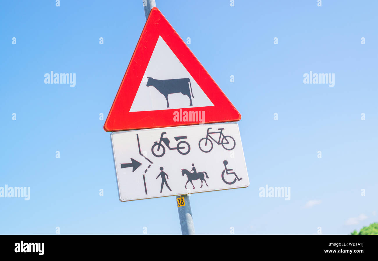 Dutch road traffic sign Indication of crossing cattle Stock Photo - Alamy
