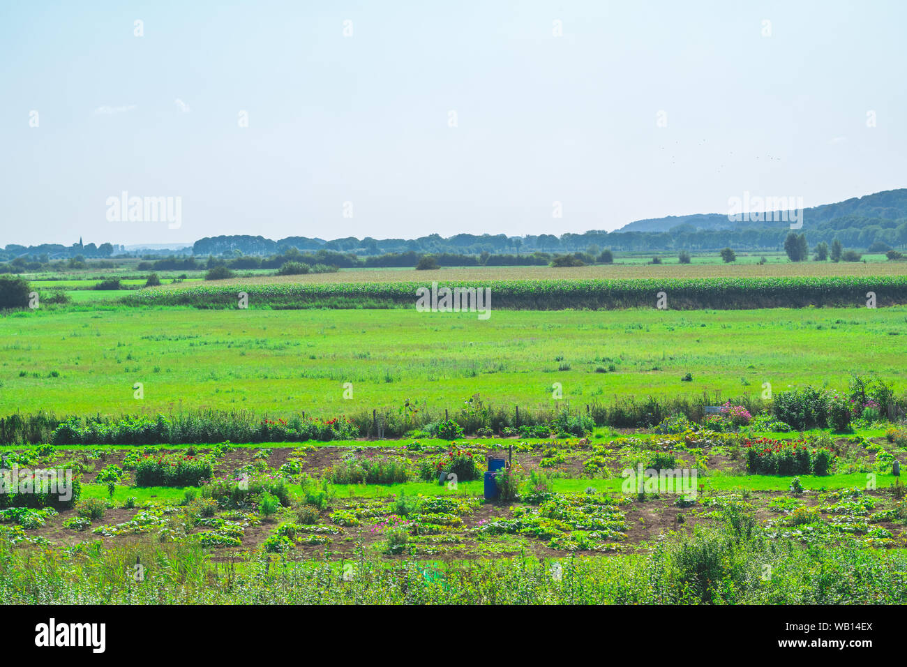 Typical attractive dutch landscape with green grass and a kitchen ...