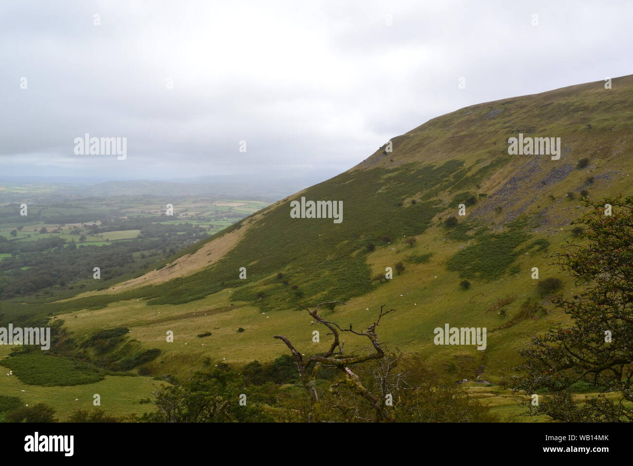 Pen y fan highest hi-res stock photography and images - Alamy